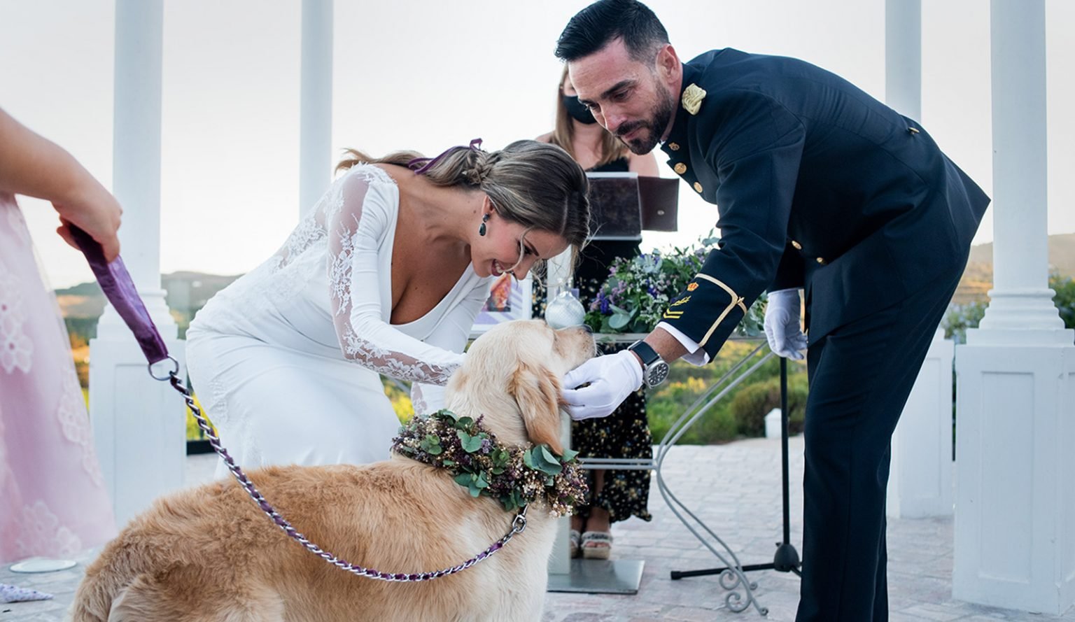 Bodas con perros, las mejores fotos, entra y descubre tu favorita 🐶